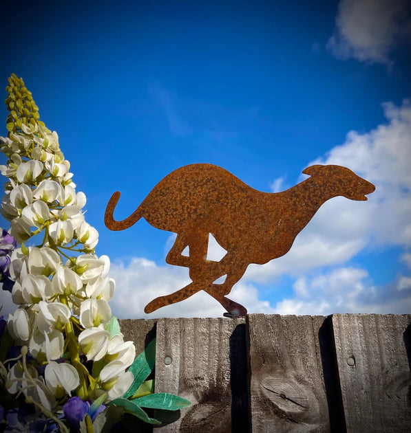 Exterior Rustic Rusty Running Whippet Greyhound Lurcher Dog Garden Wal ...