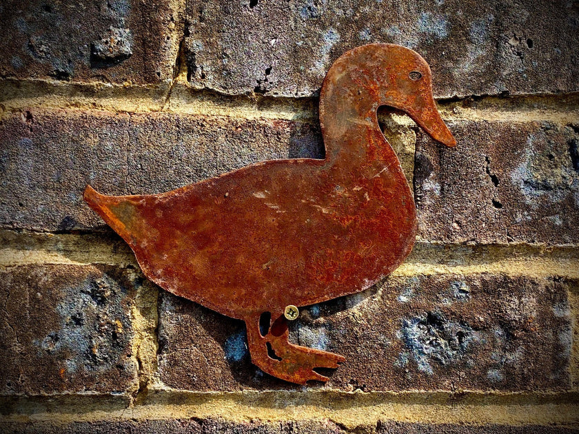Medium Exterior Rustic Rusty Duck Bird Garden Wall Hanger House Gate F ...